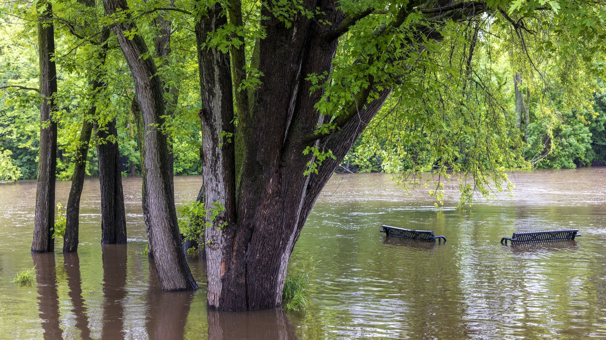 Highways close as rivers rise across southern Minnesota. More storms in ...