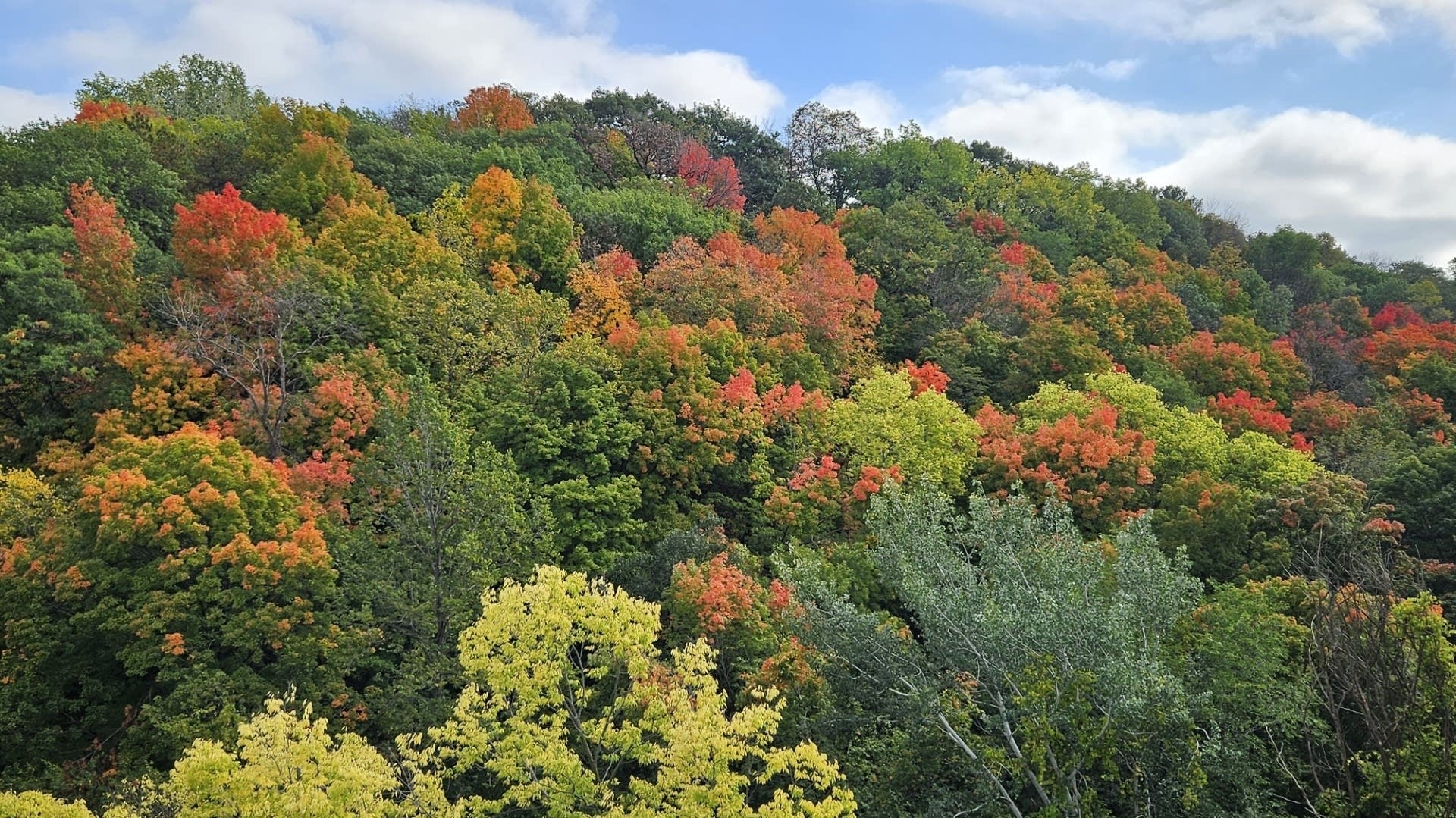 Weekend weather: Summery temps; Saturday morning rain chance | MPR News