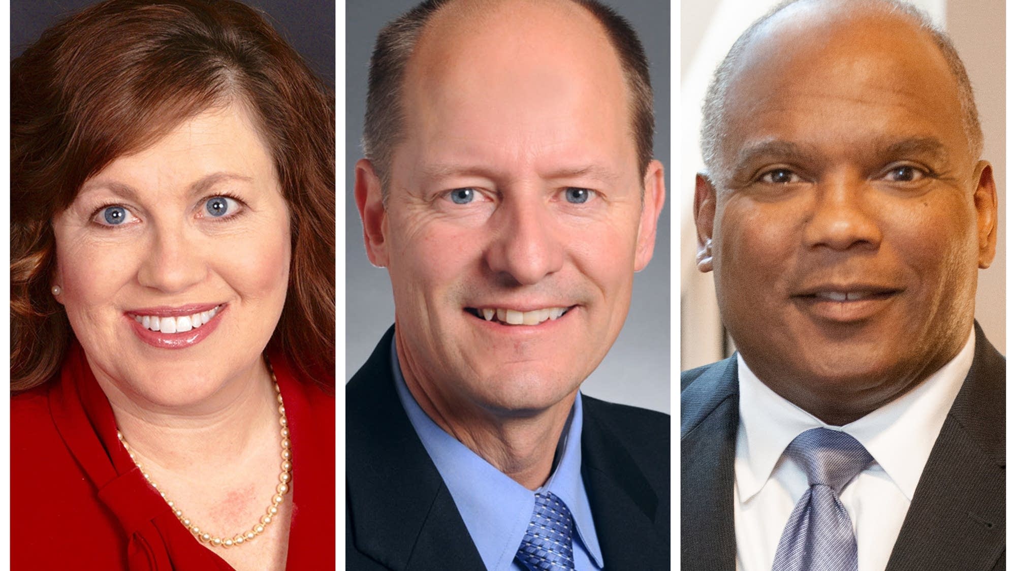 Meet Three Republican Candidates For Minnesota Governor Mpr News