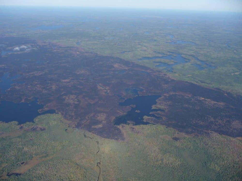 As BWCA fire dies, call for controlled burns is renewed | Minnesota ...