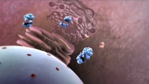 The amazing flu | MPR News