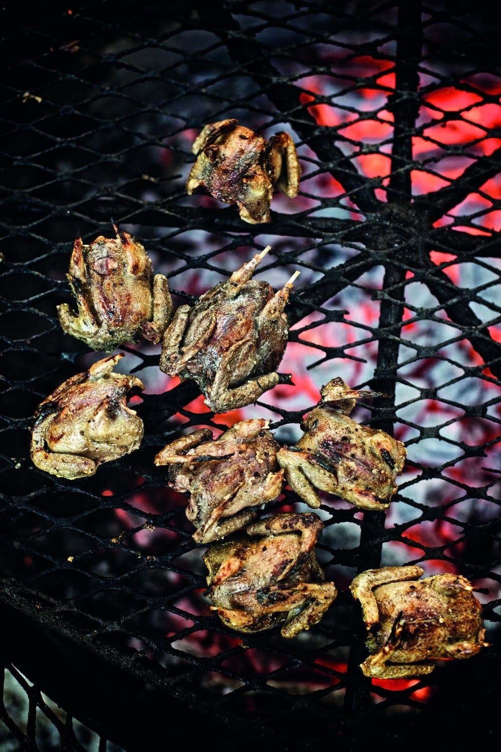 Simple Grilled Doves | The Splendid Table