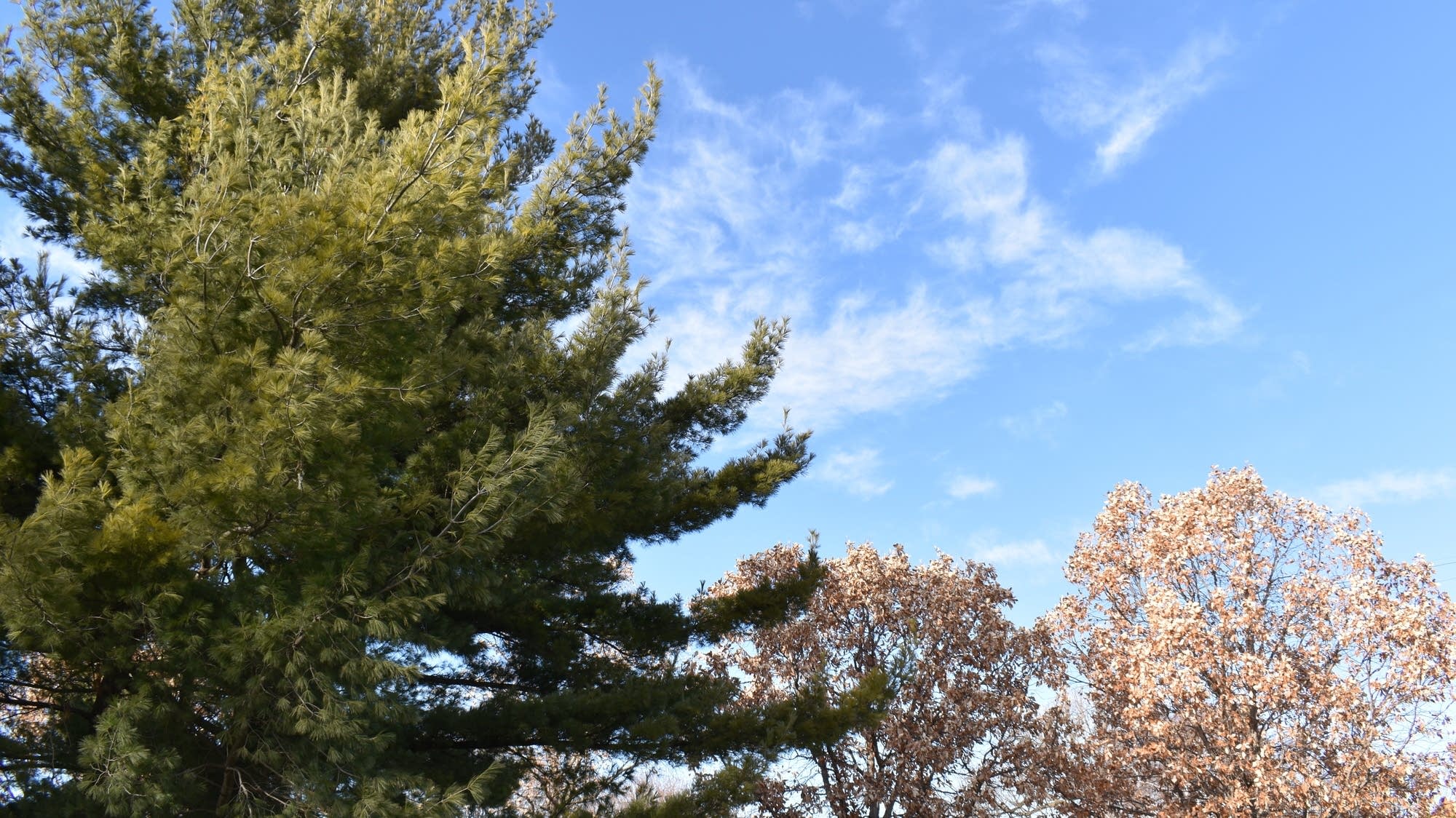 Sunday wind gust of 54 mph at MSP; a cool Monday, then temps rebound ...