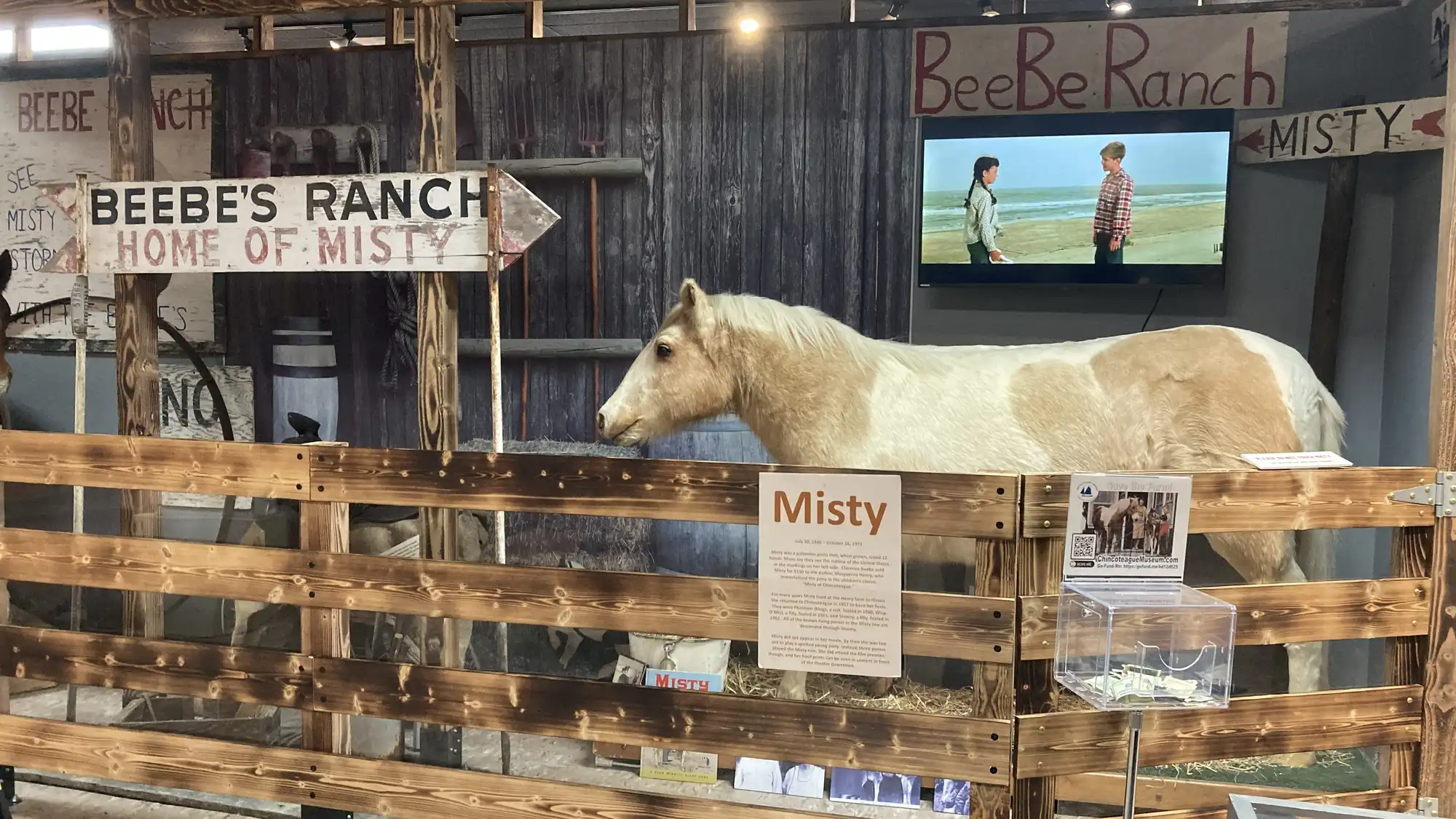 "Misty of Chincoteague" ranch saved by museum crowdfunding