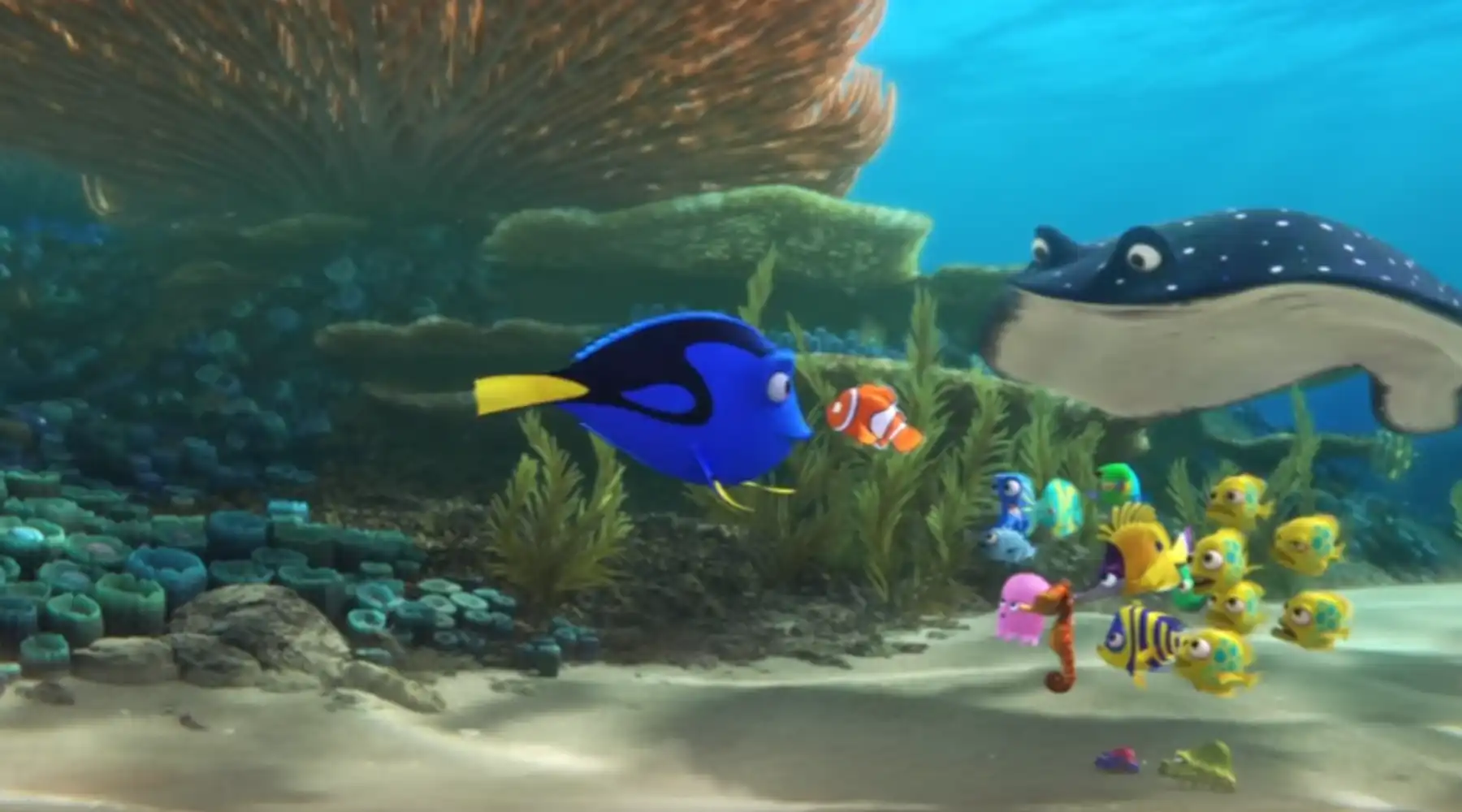 Could ‘Finding Dory’ hurt the world’s reefs?