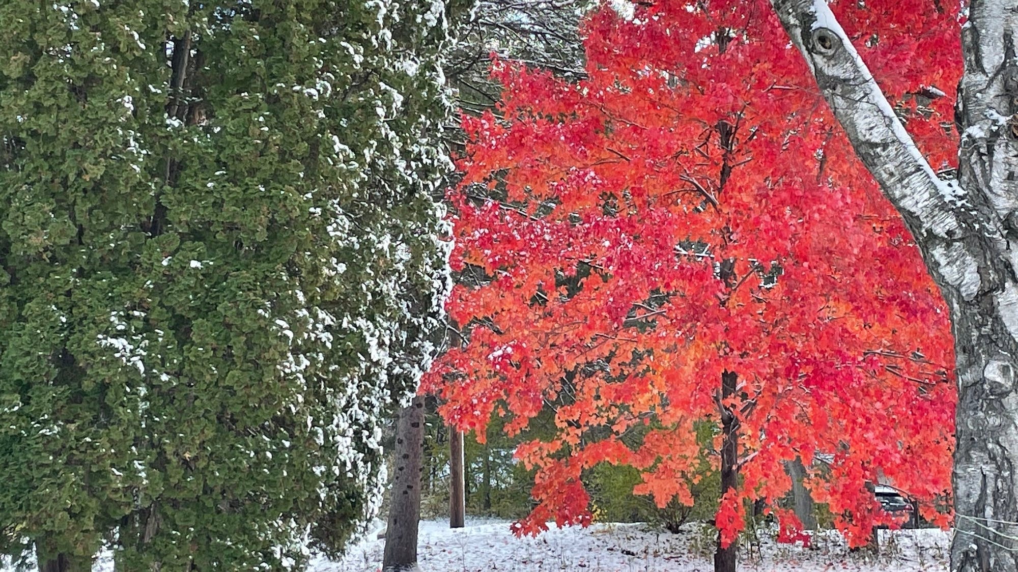 Chilly Sunday breezes; Saturday snow totals were highest to the north ...