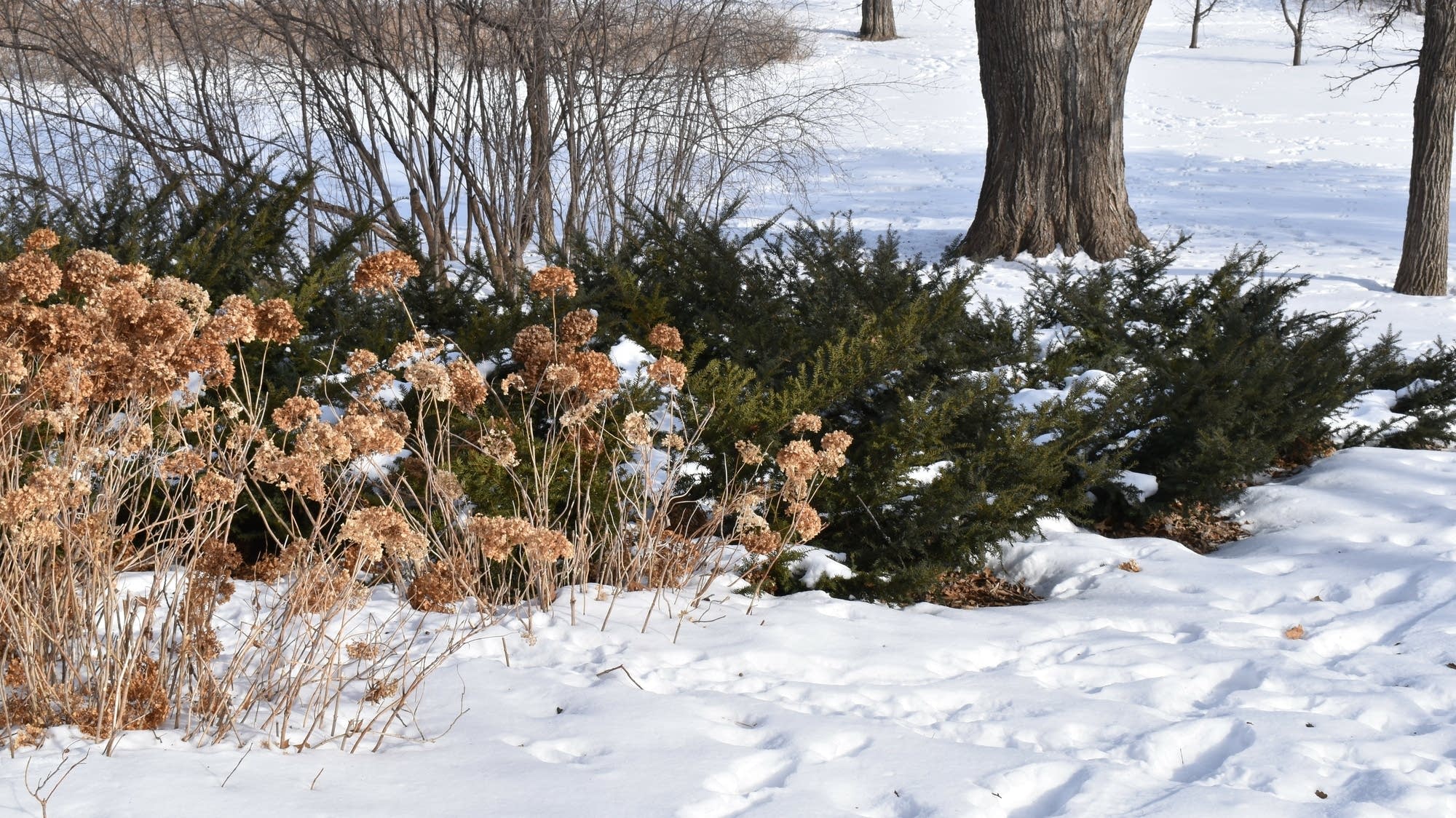 Sunday warmth; winter storm Monday and Tuesday | MPR News