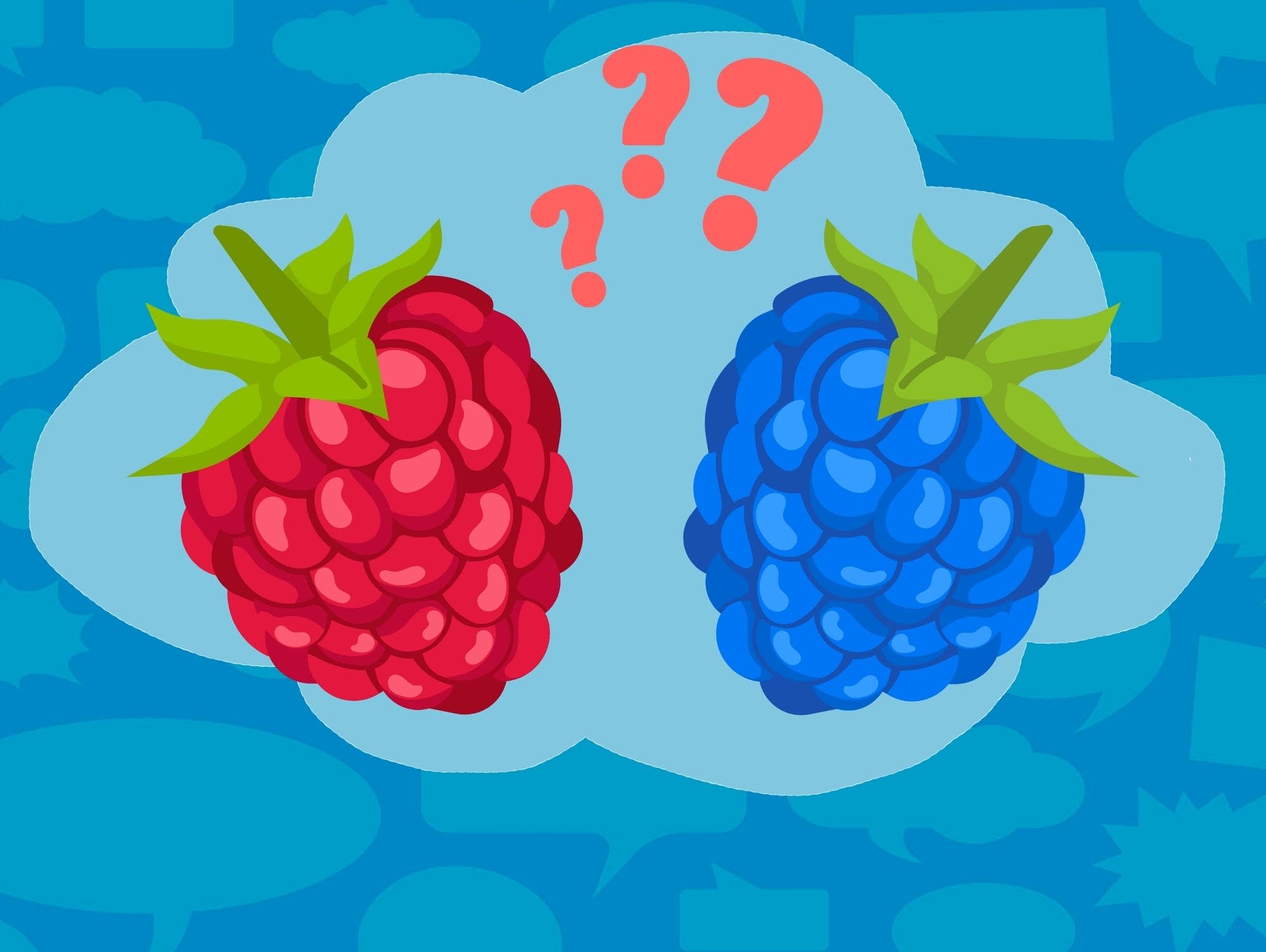 Cartoon Blue Raspberry