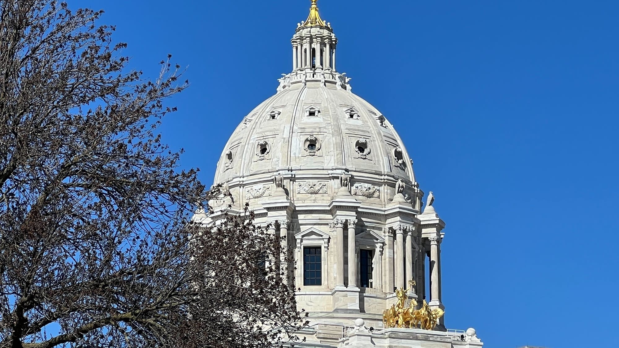 Minnesota man charged after allegedly threatening to kill people at ...