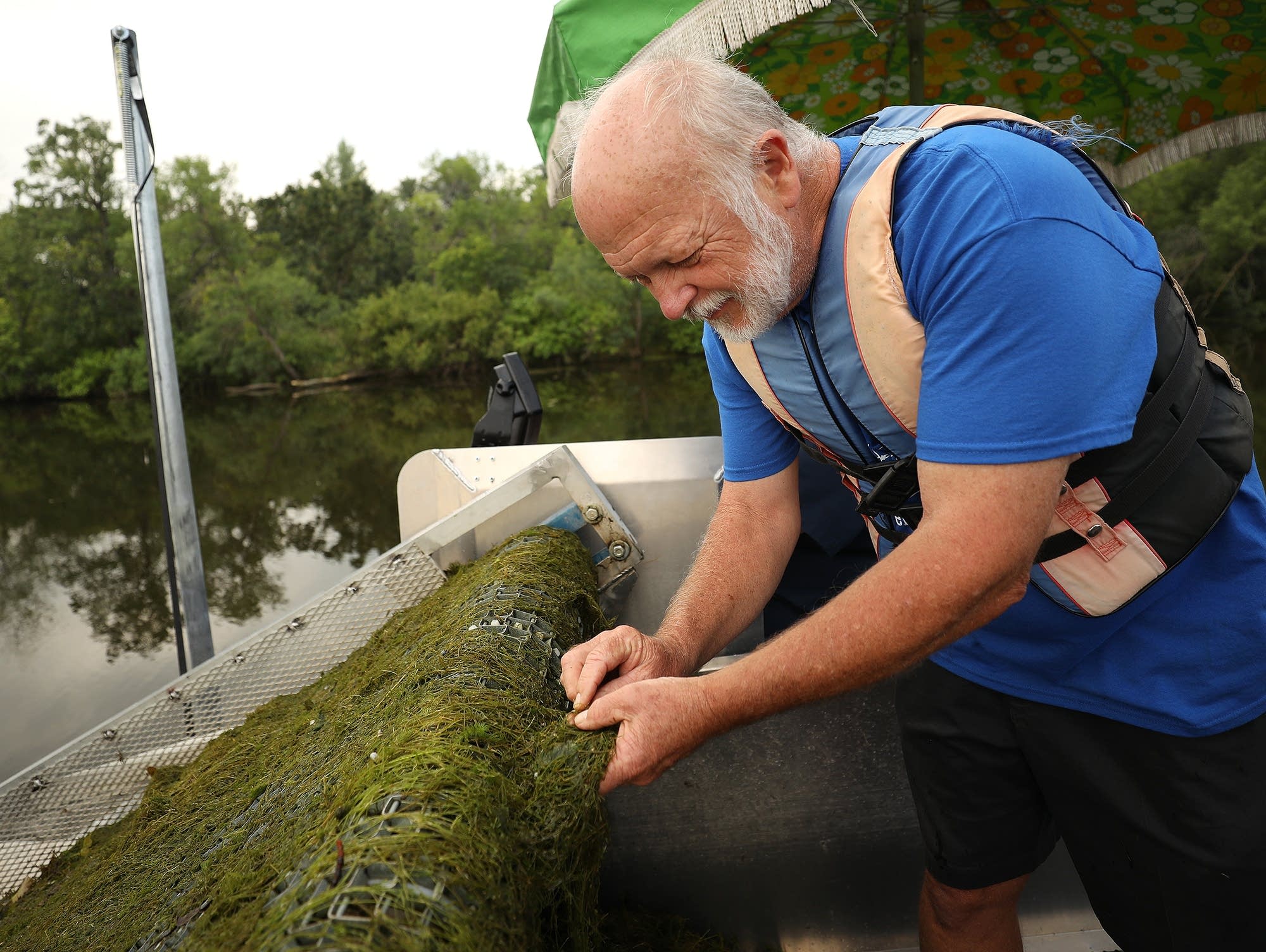As lake invaders dig in, Minnesota worries what comes next | MPR News