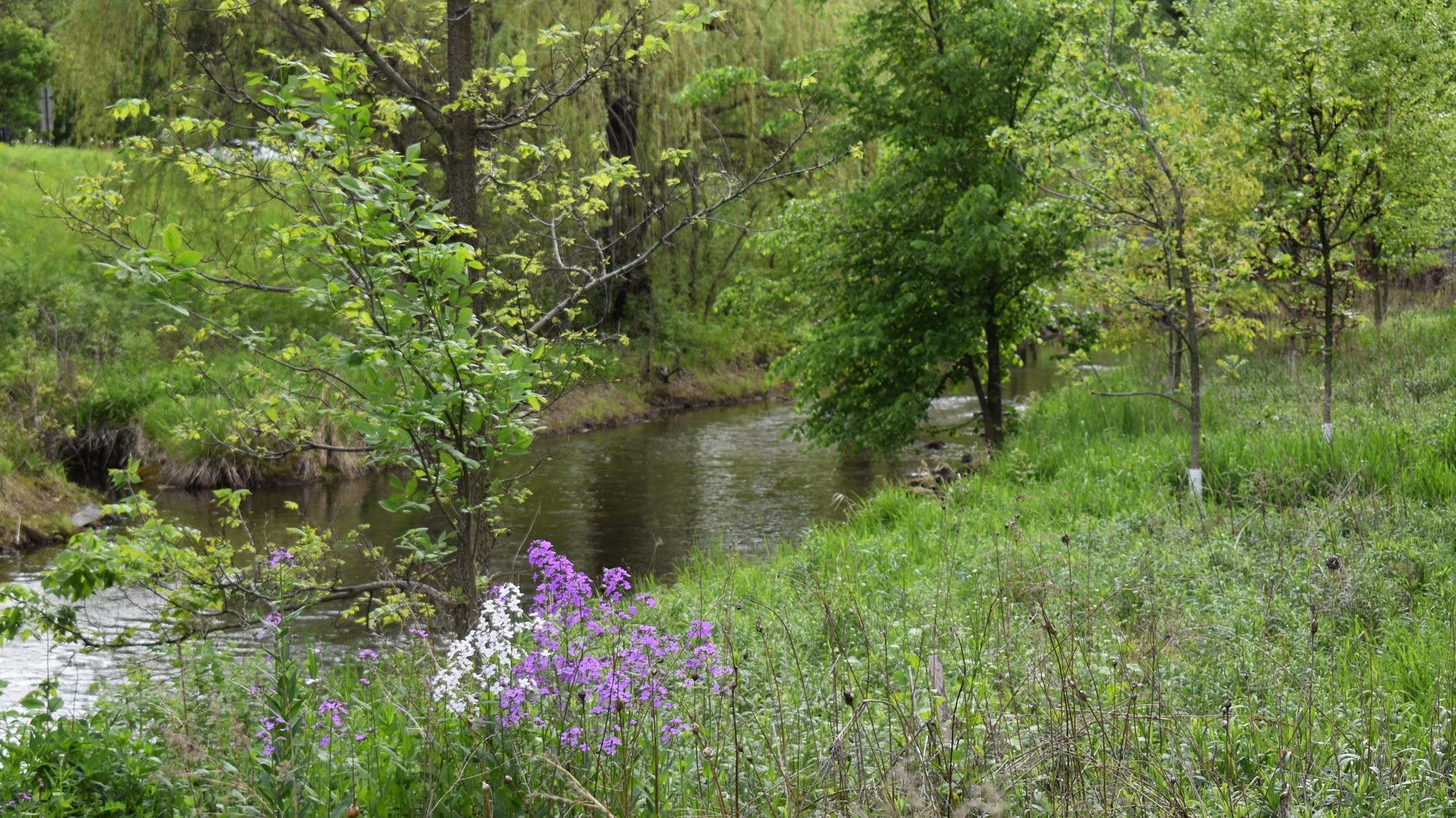 Sunday rain steadiest in southern Minnesota; cool temps | MPR News