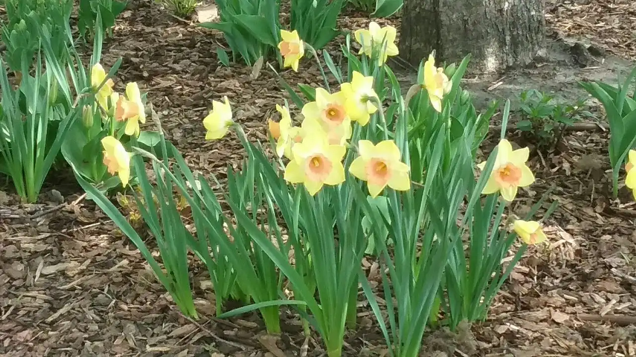 Windy April continues with scattered showers | MPR News