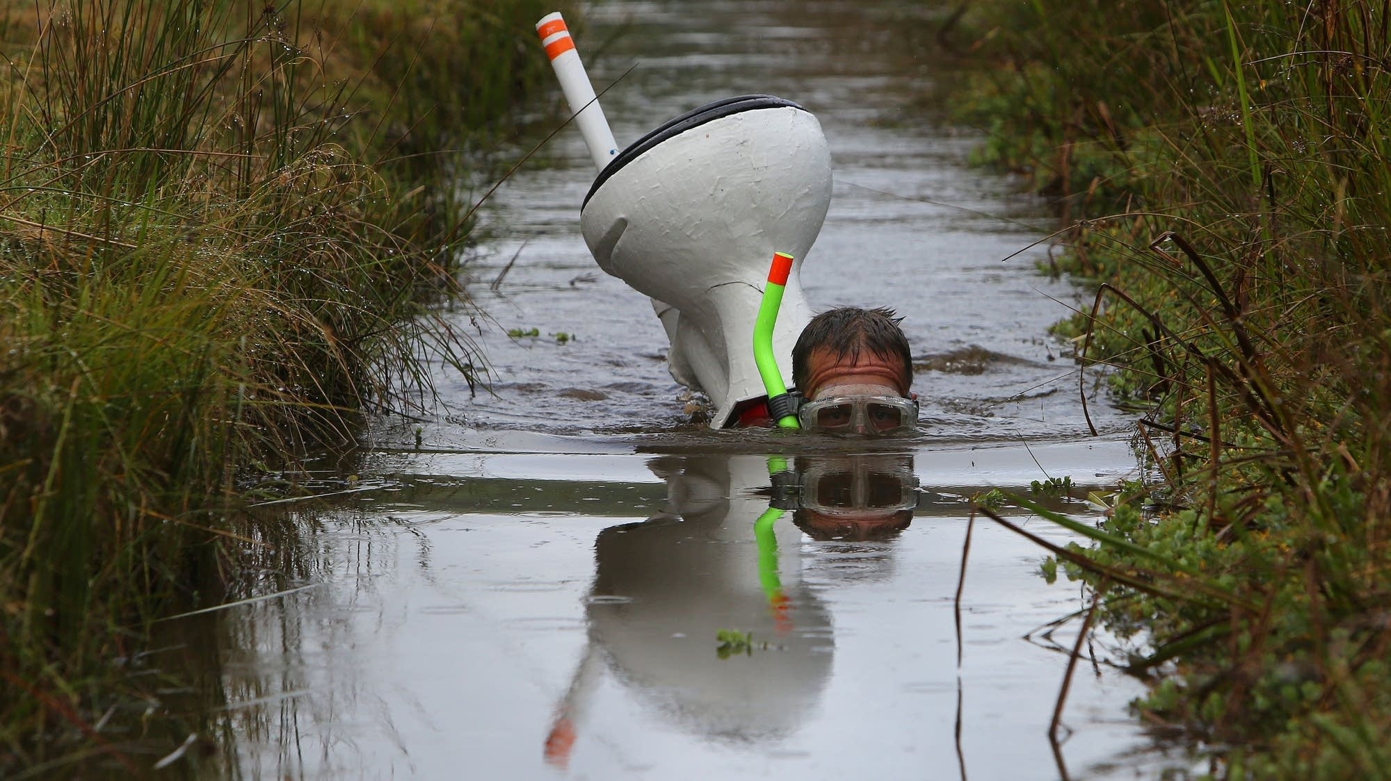 1,000 Words: The Bog Snorkeling Championships | MPR News