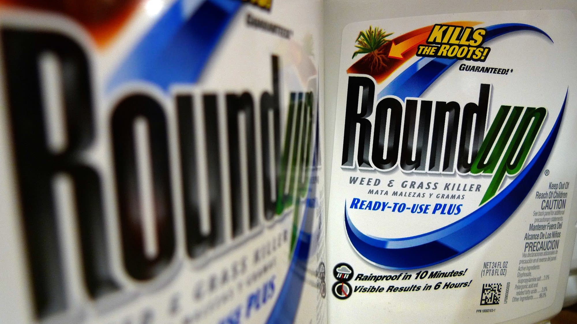 State health officials to review Roundup as possible carcinogen | MPR News