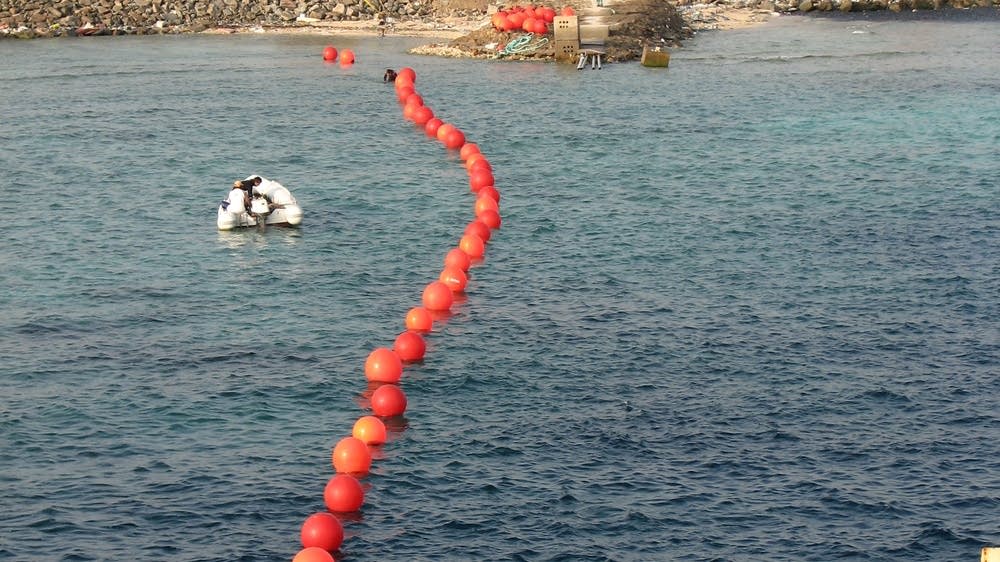 For immigrants, new cable a long-awaited connection | MPR News