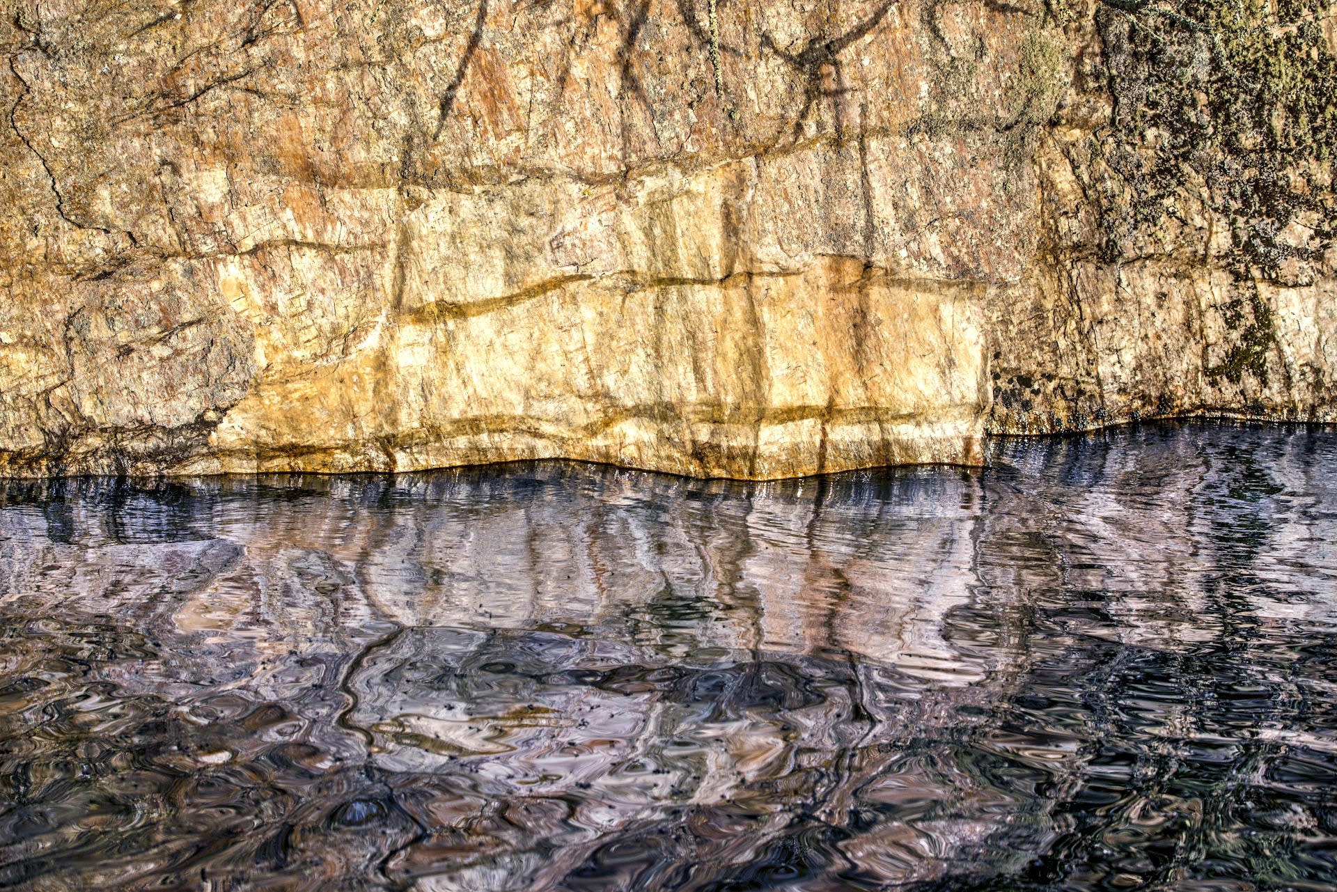 Jim Brandenburg's '93 Days of Spring' | MPR News