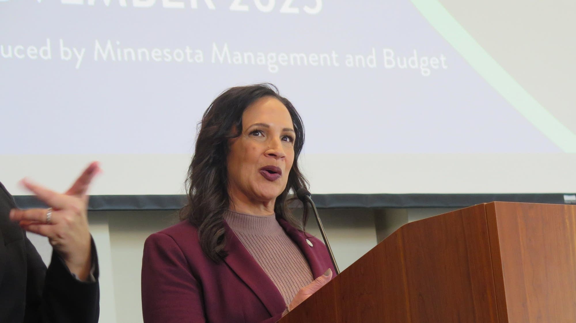 Lisa Demuth on her Minnesota governor run as a Republican | MPR News