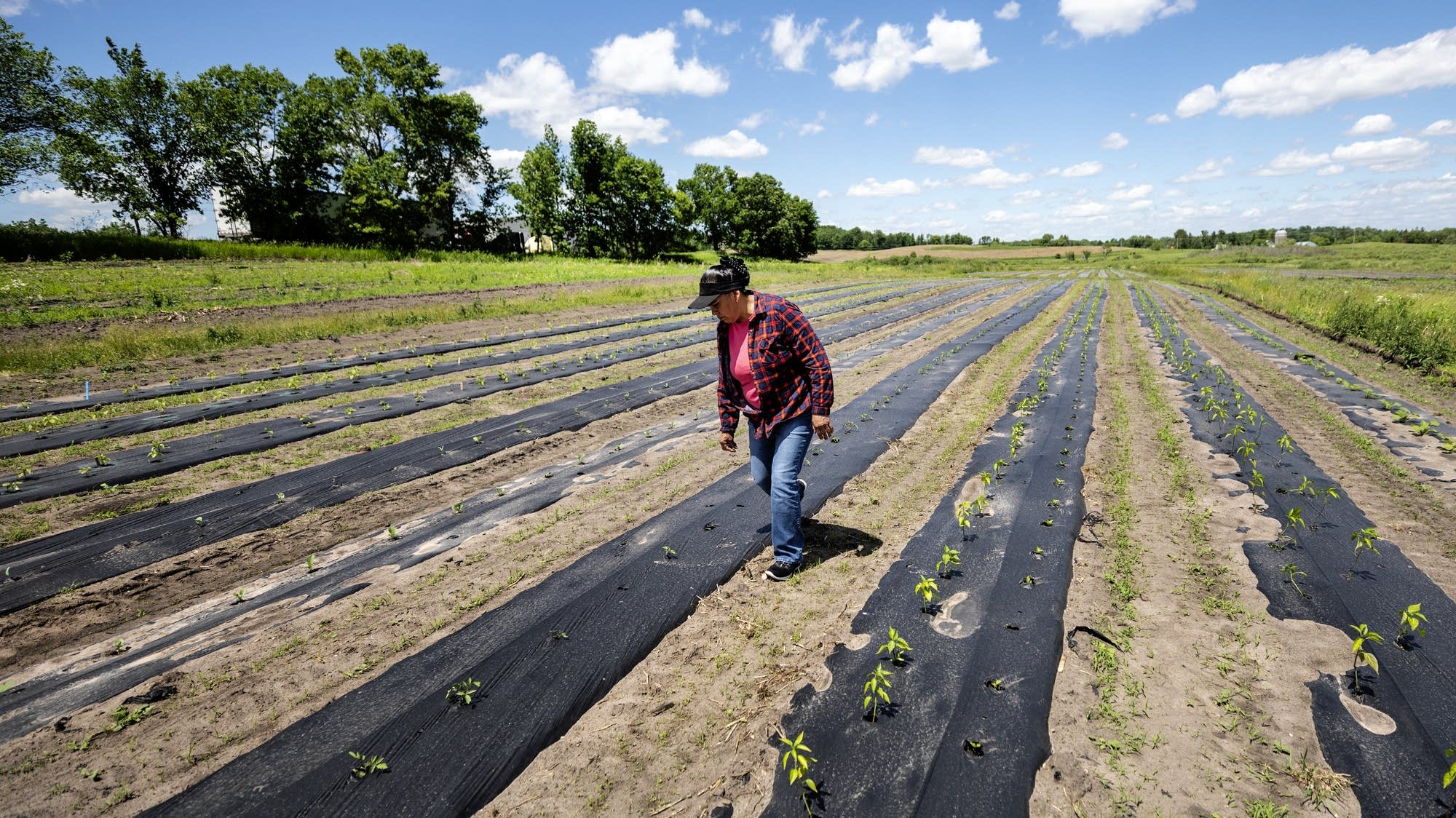 Indigenous farmers, farmers of color want a better deal from new farm ...
