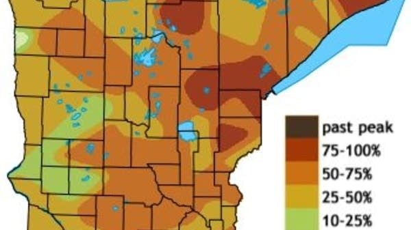 Fall color today; First snow flakes Saturday | MPR News