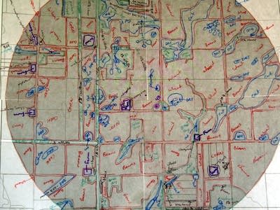 Answer to declining bee population sought in N.D. prairie | MPR News