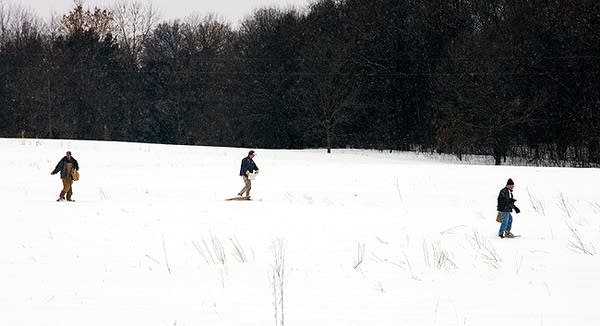 Snow seeding to restore native plants to the prairie | MPR News