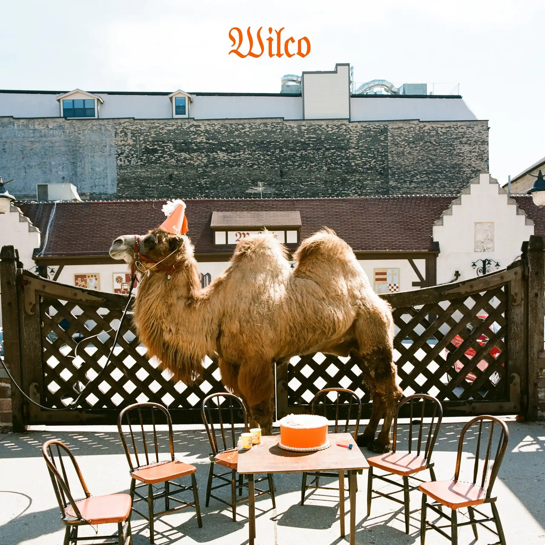 June 30 in Music History: Wilco released 'Wilco (The Album)'