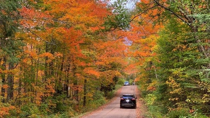 Red means go! Minnesota's fall colors start to burst | MPR News