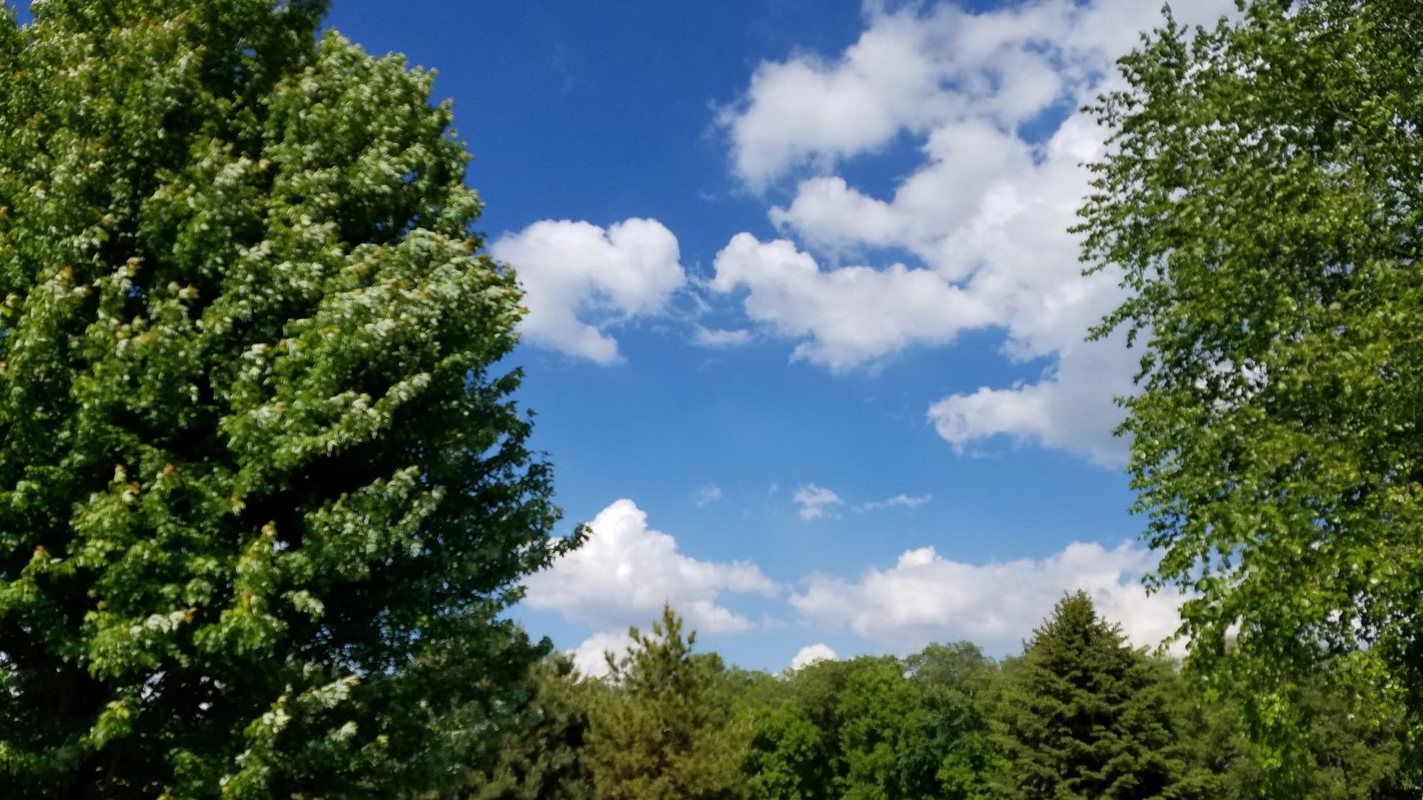Sunny and pleasantly dry weather ahead | MPR News