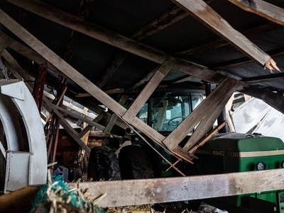 As barns collapse, farmers lose cows, income, sleep | MPR News