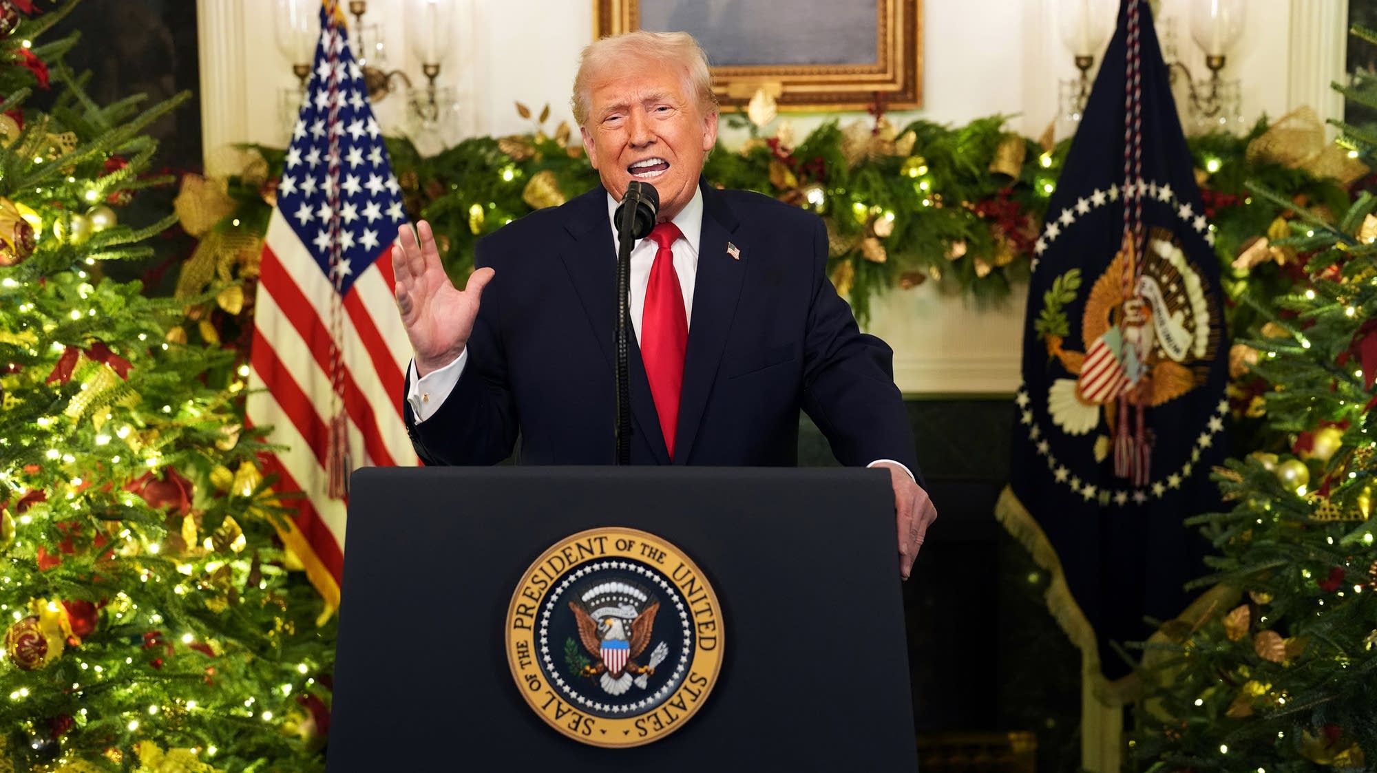 Trump says U.S. struck Islamic State targets in Nigeria after group ...