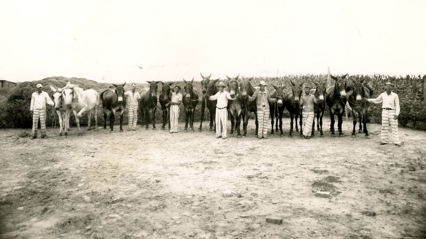 Letter from Parchman: Inside Mississippi's notorious prison | In the ...