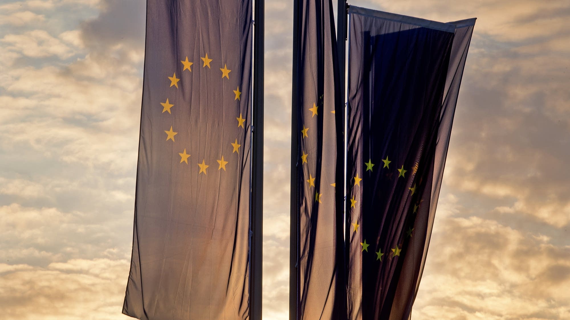 The Right And The Greens Gain Ground In European Elections Mpr News