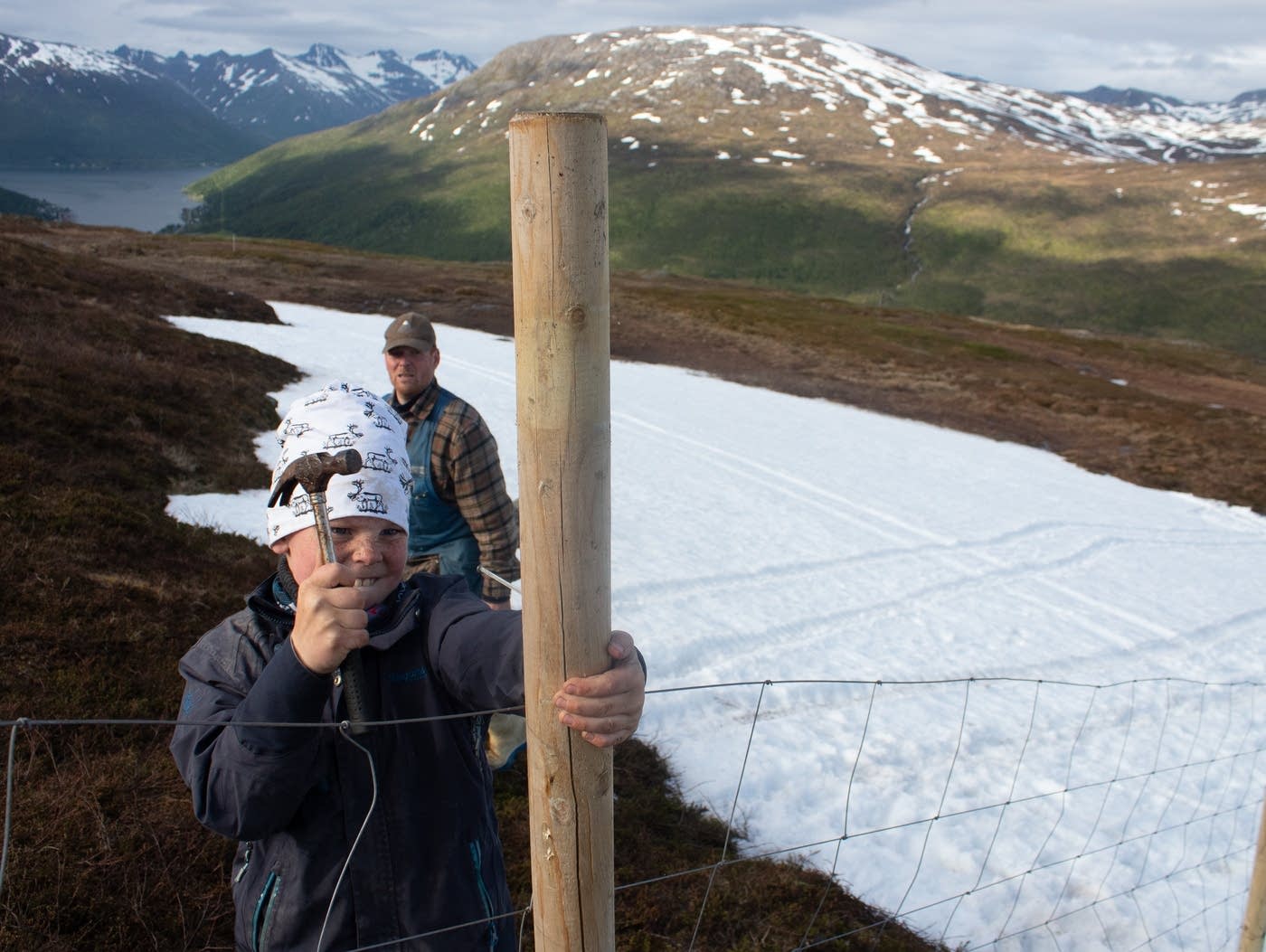 Listening to the 'canaries in the coal mine' of climate change | MPR News