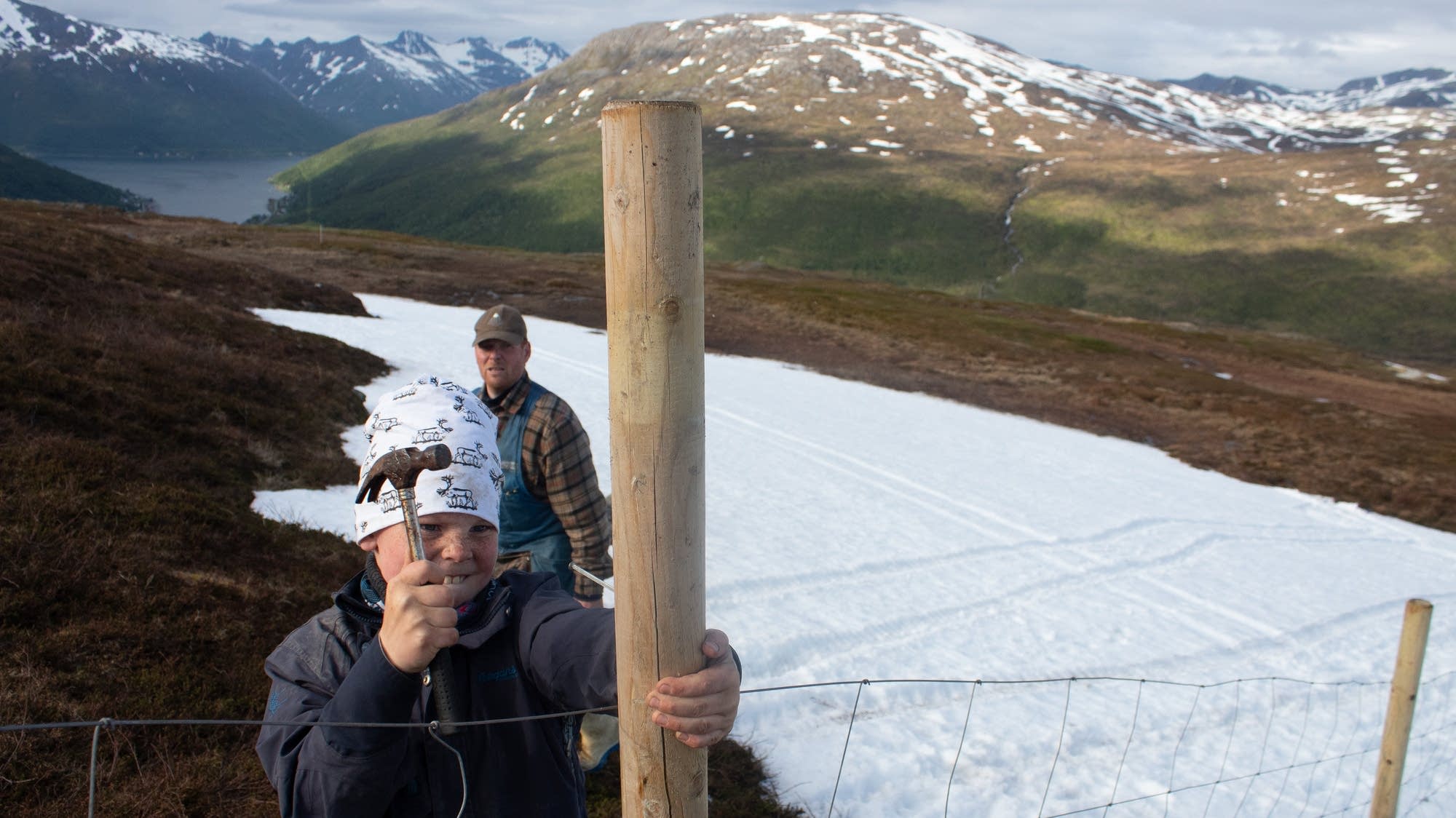 Listening to the 'canaries in the coal mine' of climate change | MPR News