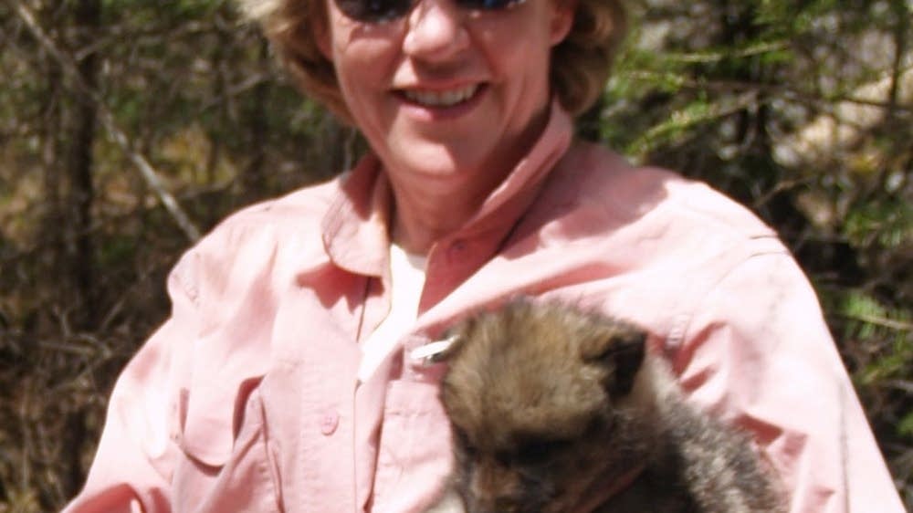 Music with Minnesotans: Nancy Gibson