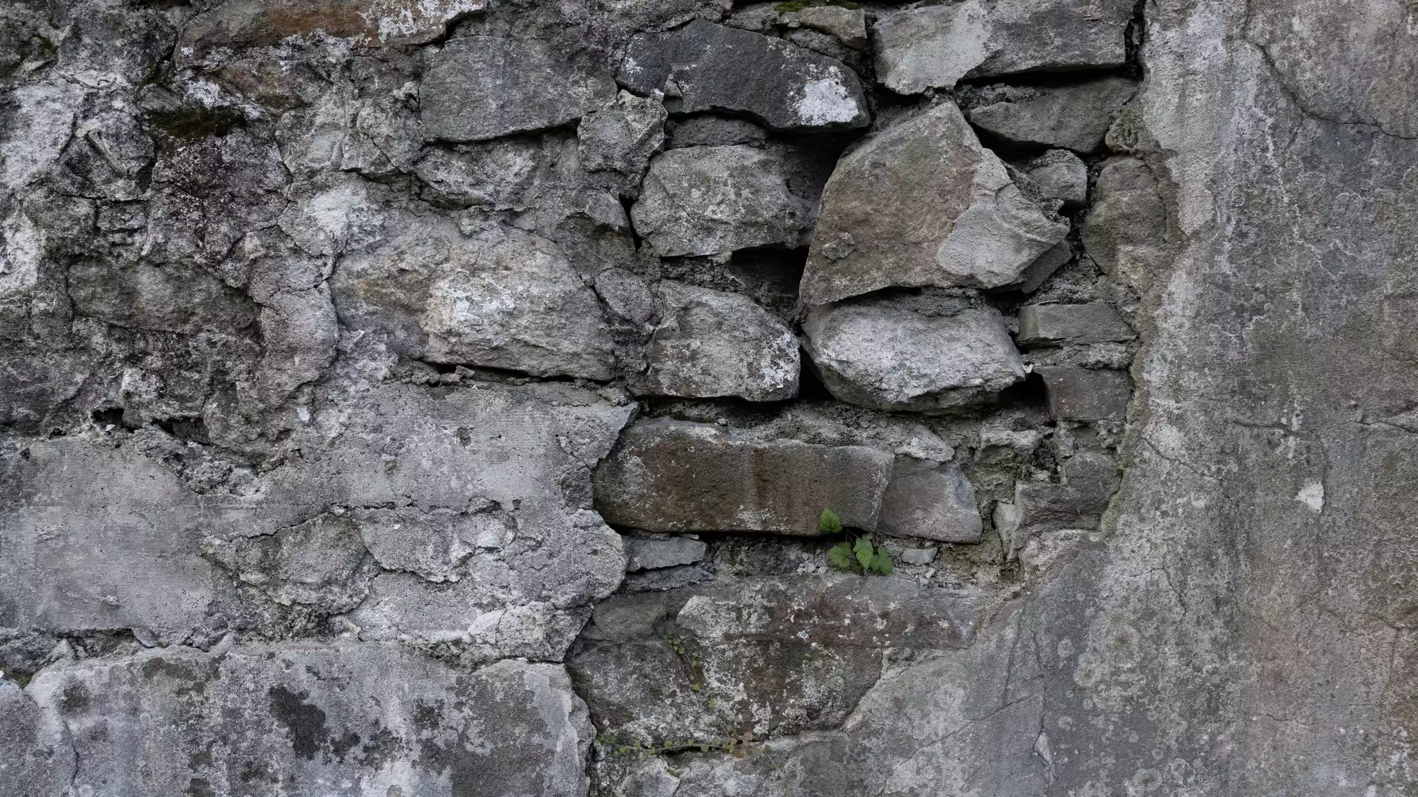 Michael Gleason's affinity for classical music is 'cast in stone'