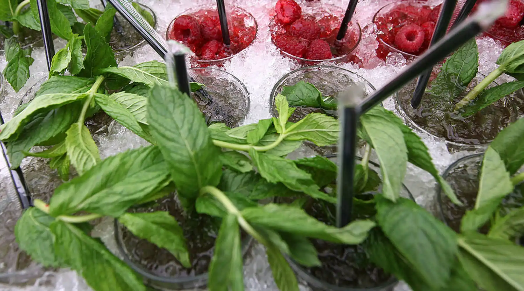 Cocktail developers mix it up at the Kentucky Derby