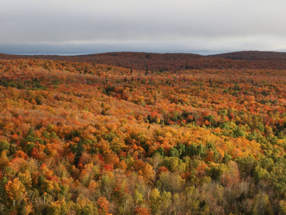 Photos: Fall colors on Minnesota's North Shore | MPR News