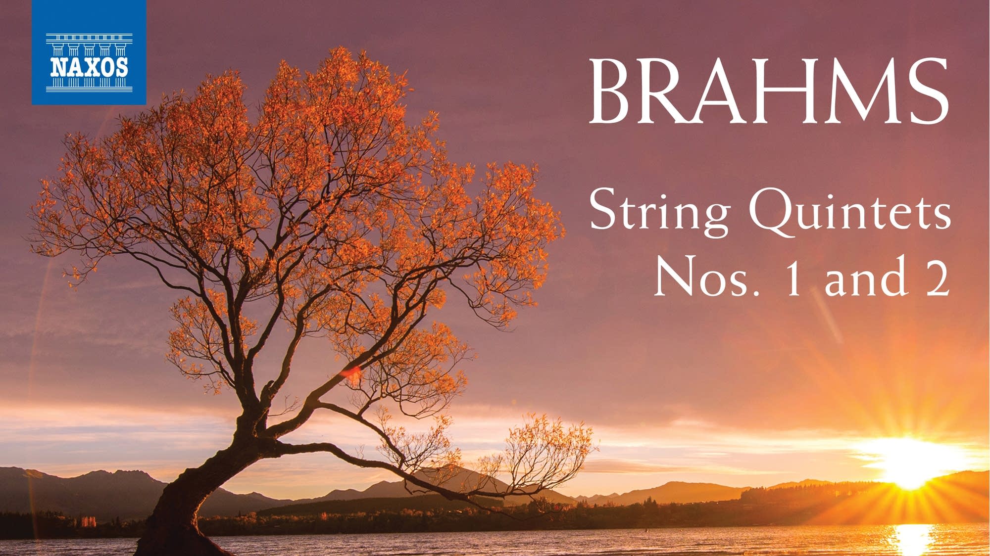 Daily Download: Johannes Brahms - String Quintet No. 2: IV. Vivace ma non troppo presto