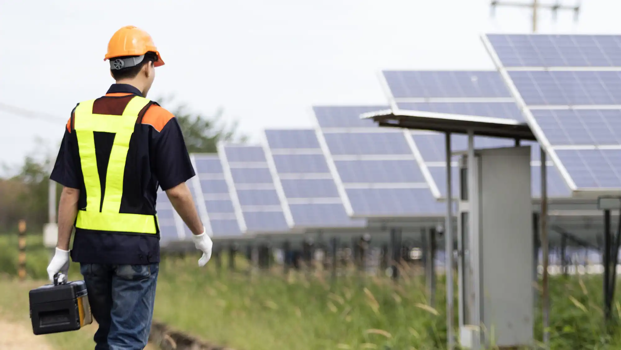 Network effect: Customers help utilities build smarter, more efficient ...