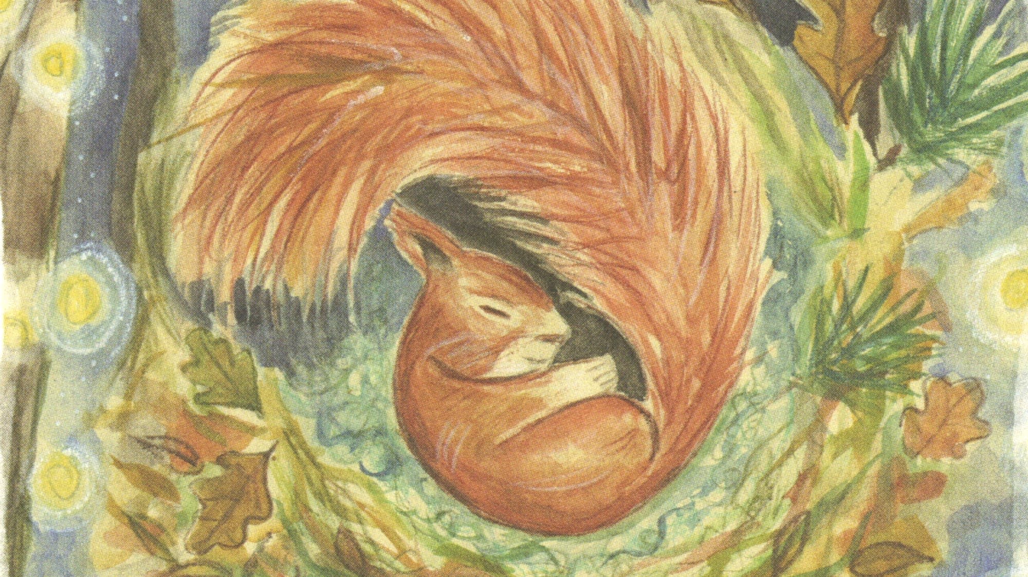 ‘The Little Squirrel Who Worried’