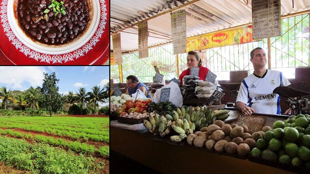 Appetites: 6 (firsthand) morsels about Cuban food | MPR News