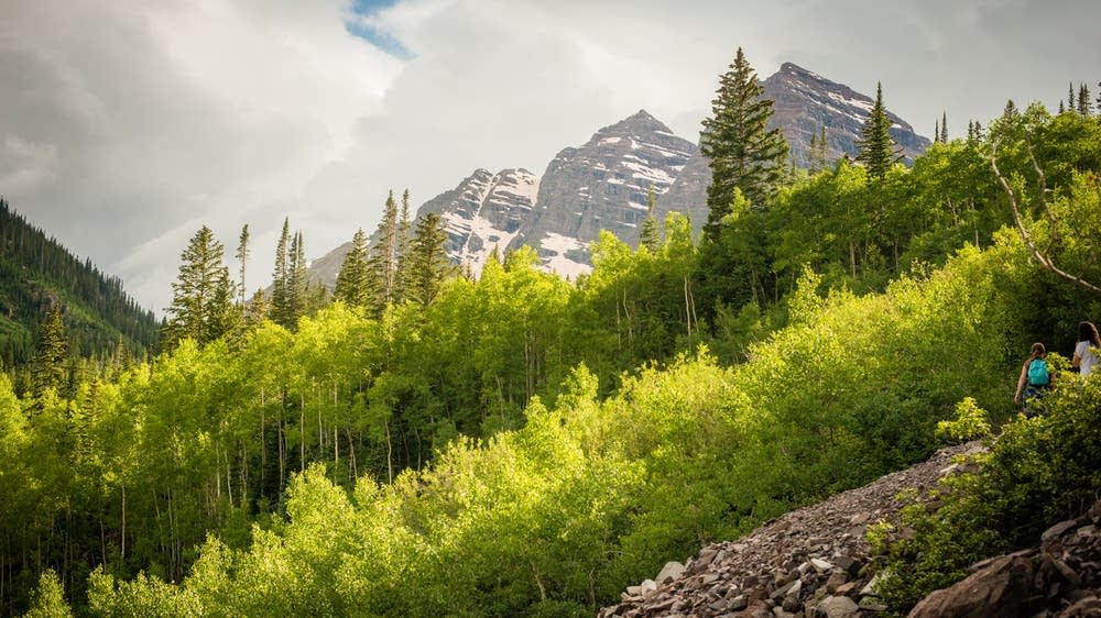 Aspen Ideas Festival: Cancer breakthroughs | MPR News