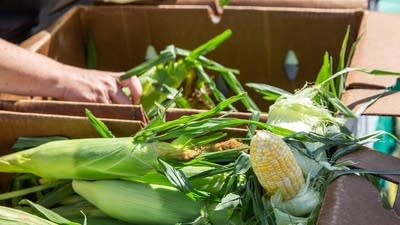 Appetites® | MPR News