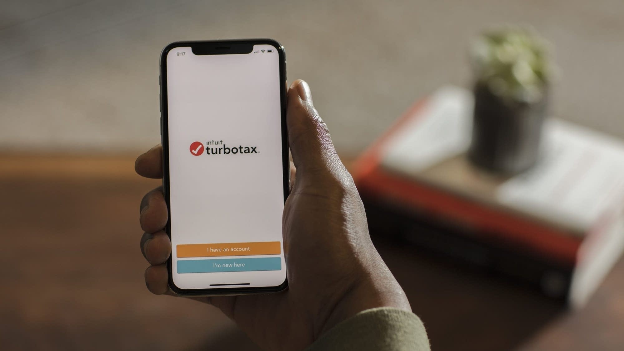 TurboTax in trouble