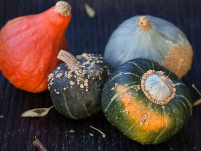 Appetites: Heirloom squash bring color to the fall table | MPR News