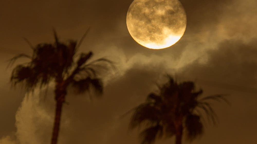 Second 'supermoon' of the year happens today | MPR News