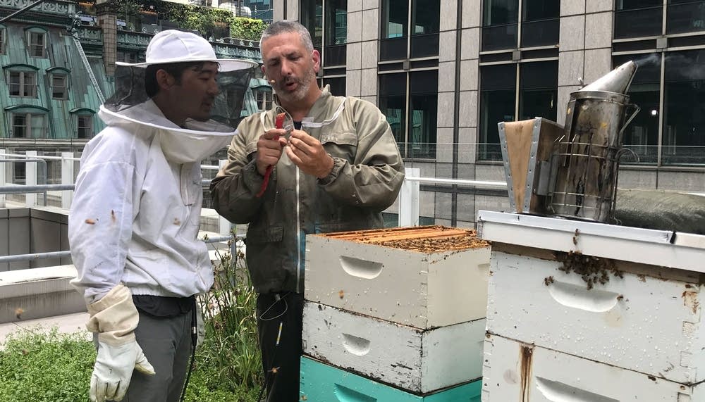 Andrew Coté takes Francis Lam inside the exciting world of urban ...