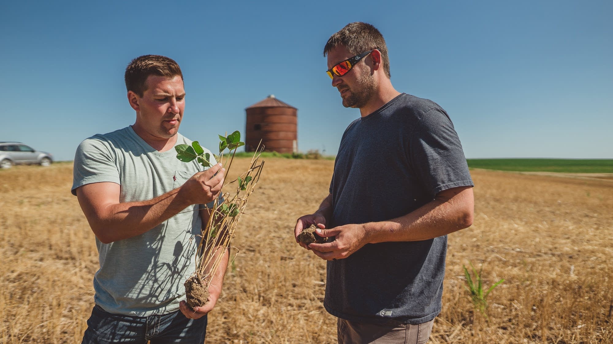 Your Field Day is Buffering: Sustainable Ag Navigates a Pandemic ...