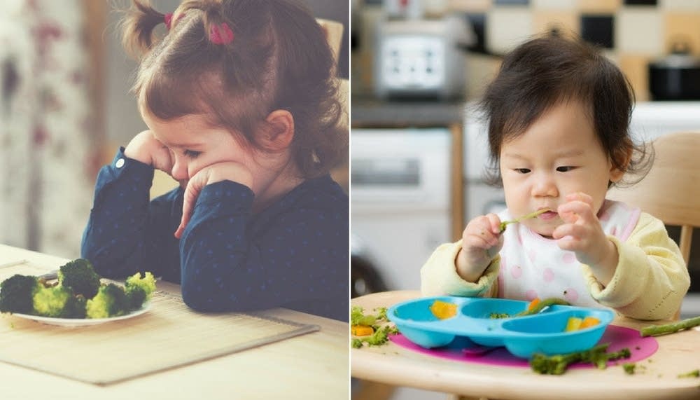 Feeding kids – eliminate the parental angst | The Splendid Table